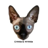 The Crinkle & Wrinkle Saga – Doubletrouble_sphynx – The dynamic duo of ...